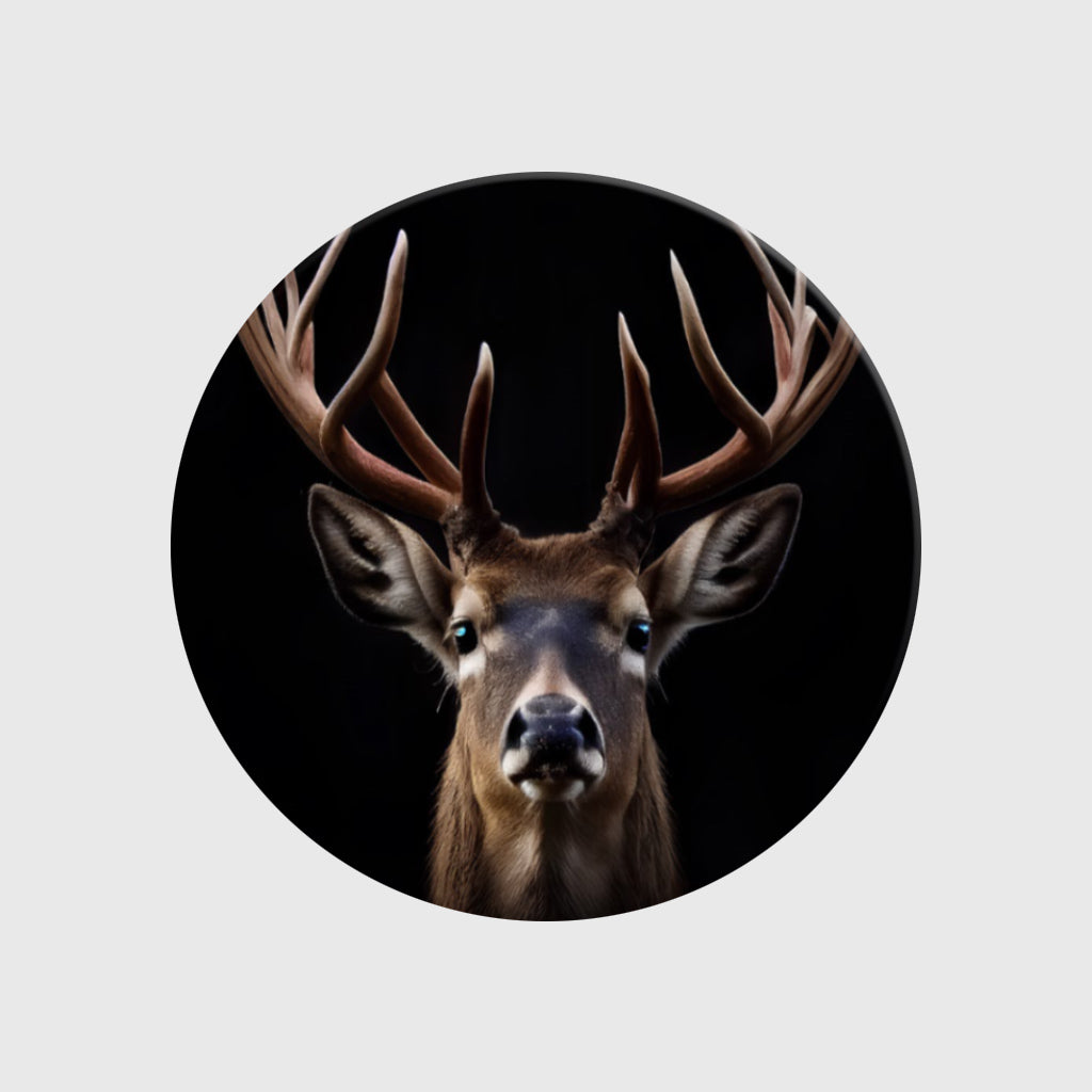 Hirsch Portrait - Wandbild im Kreisform